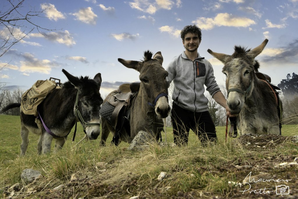 Asini in cammino: alla scoperta della natura con il trekking someggiato ...