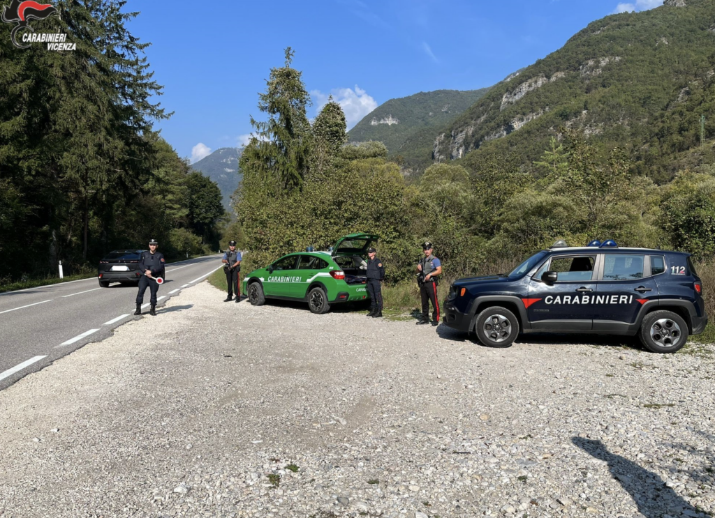Blitz dei Carabinieri: 4 denunciati | TViWeb